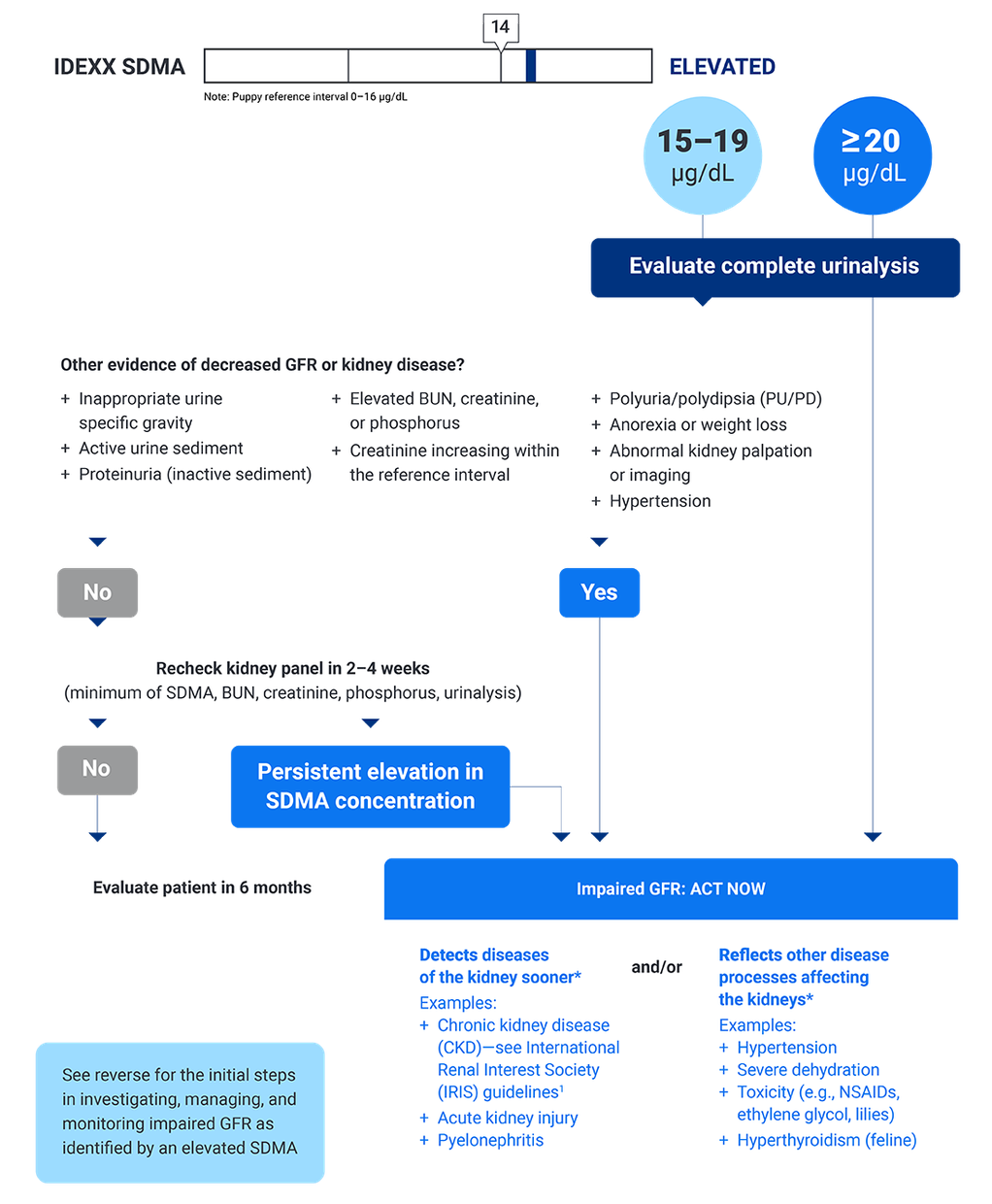 Interpreting your SDMA results - IDEXX Canada